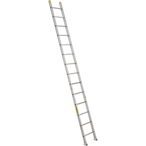 Featherlite Industrial Heavy-Duty Extension/Straight Ladders, 14 ...