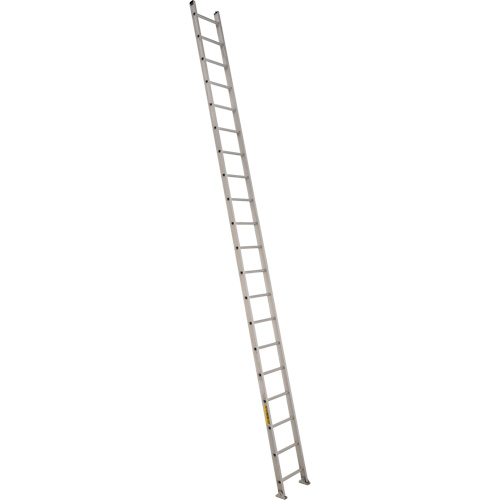 Featherlite Industrial Heavy-Duty Extension/Straight Ladders, 20 ...
